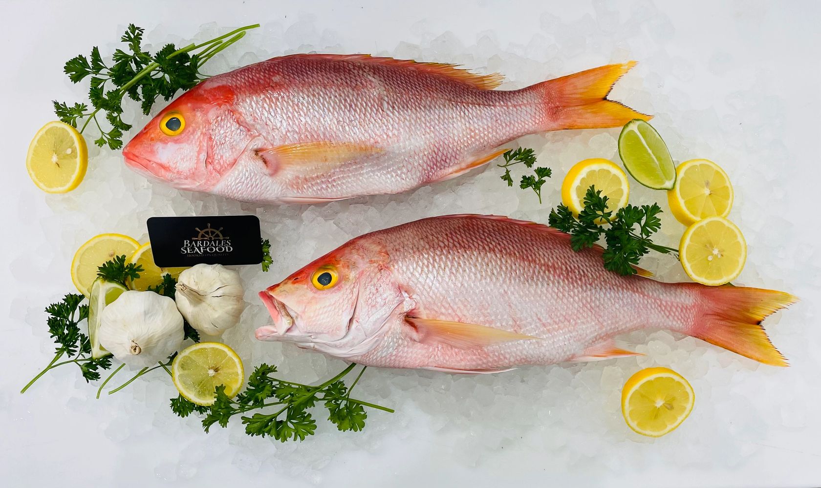 Bardales Fresh Seafood Market