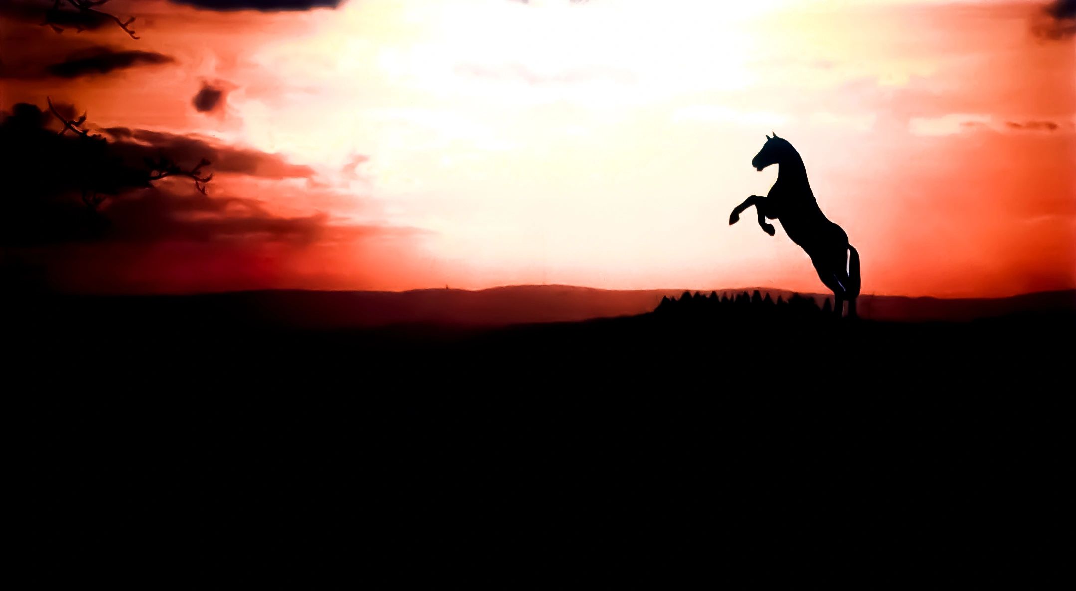 Maverick Office Systems