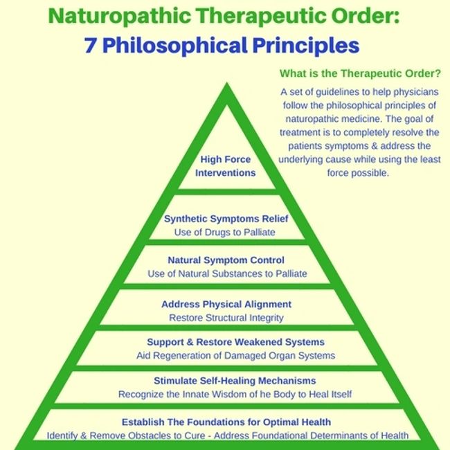 Naturopathic Medicine | Vital Origins Inc
