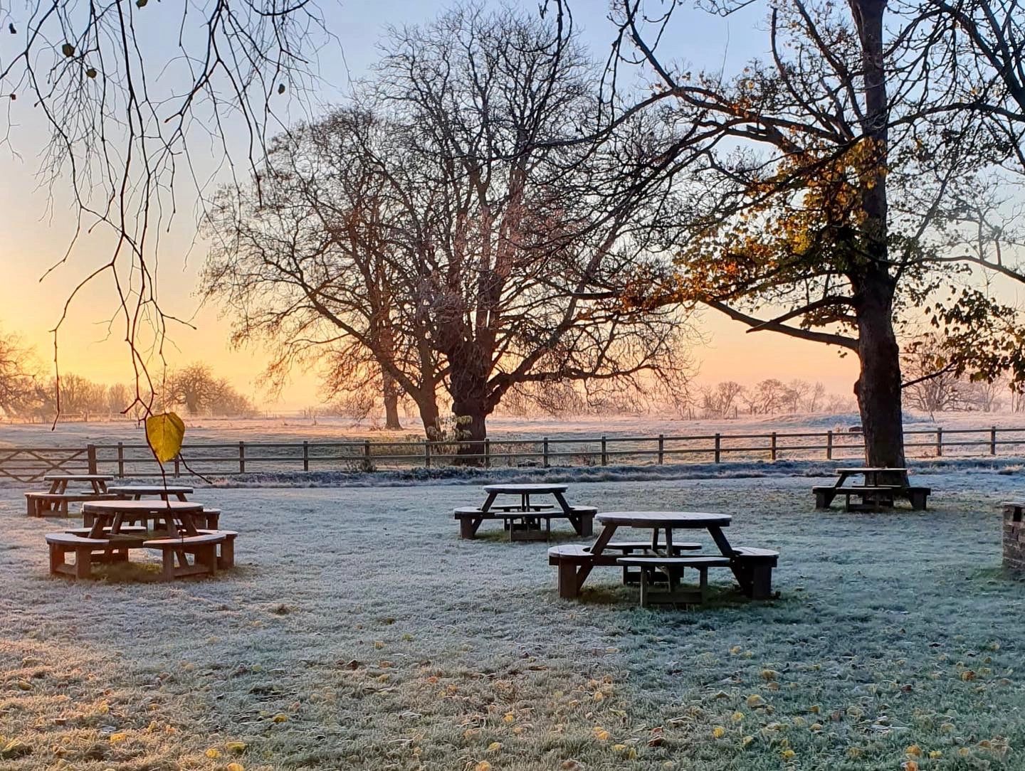 Base Coffee + Kitchen