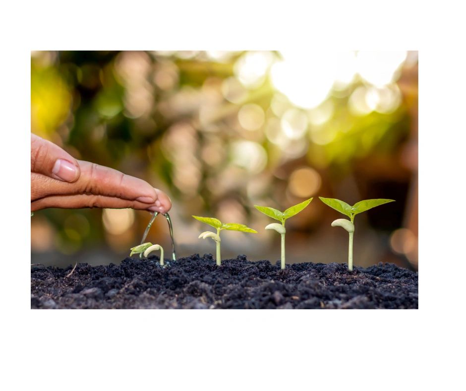 3 Essential Steps for Successful Transition