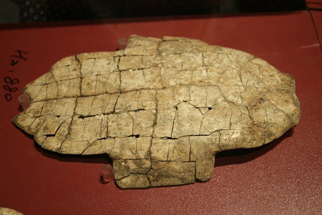 Turtle Shell Divination In Ancient Japan