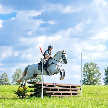 Experience the Thrill of Show Jumping at Hanover Stables