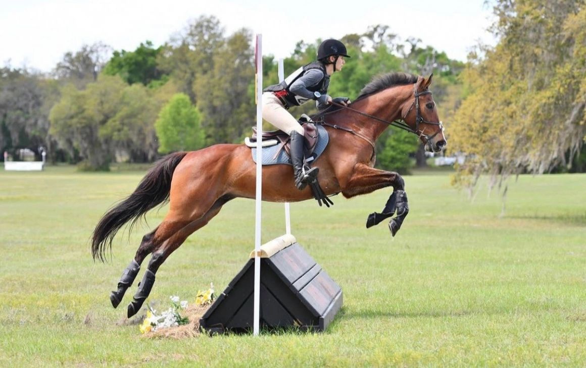Experience the Thrill of Show Jumping at Hanover Stables