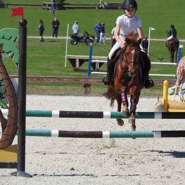 Experience the Thrill of Show Jumping at Hanover Stables