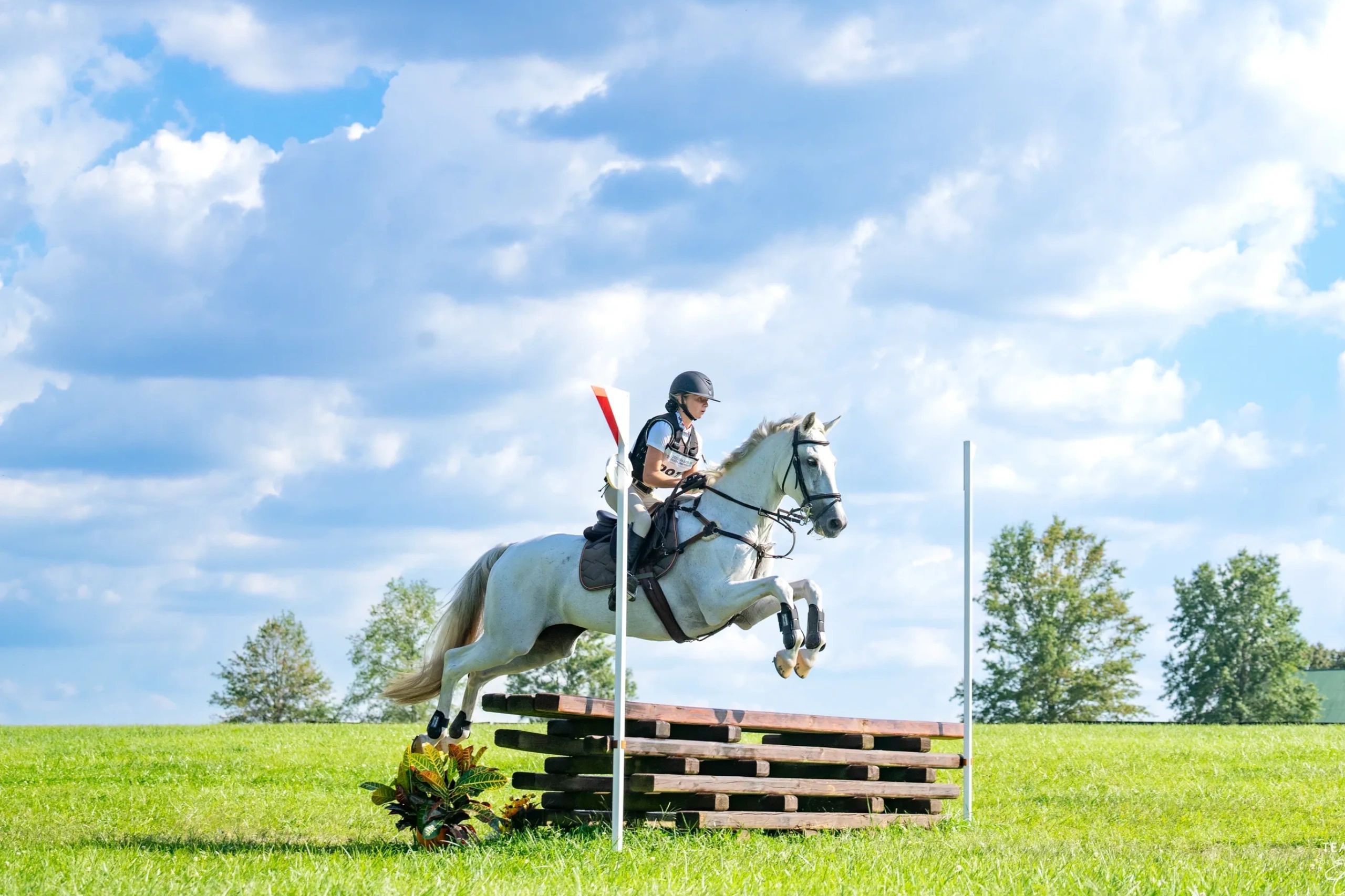 Experience the Thrill of Show Jumping at Hanover Stables