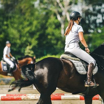 Experience the Thrill of Show Jumping at Hanover Stables