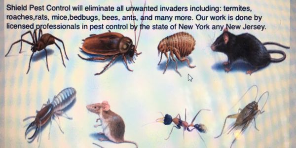 Shield Pest Control