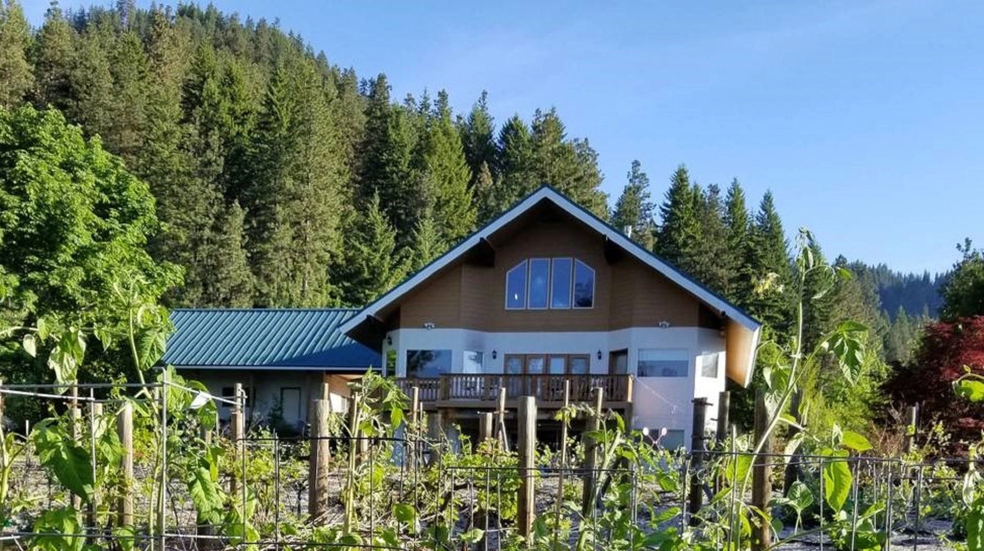 ACTIVITIES | Views & Vines