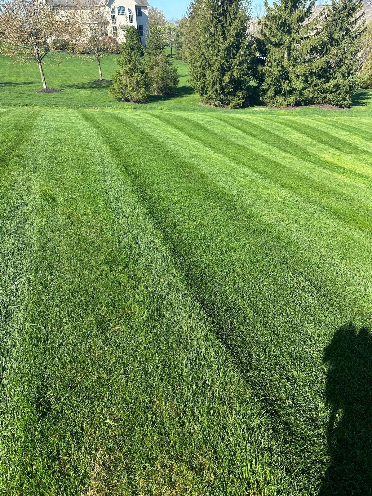 Gallery | Lemus Landscaping LLC