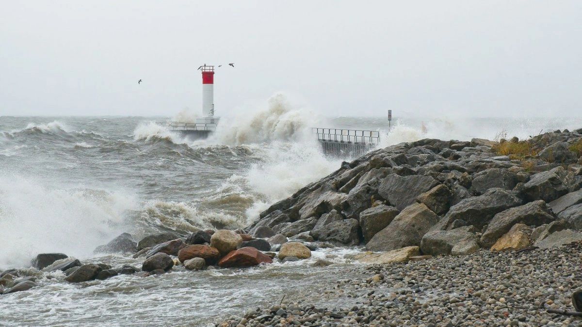 Rankin Coastal Engineering