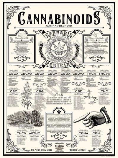Cannabinoid Education