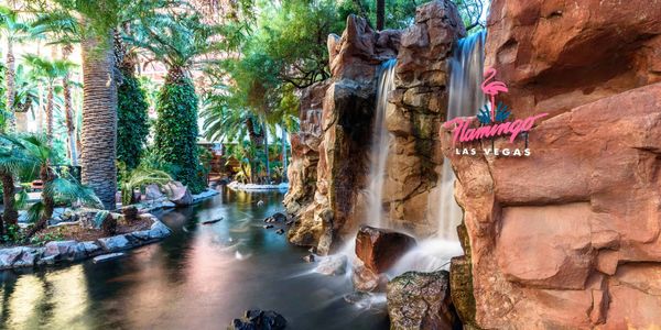 Lucky Starz Invitational - Meet Venue, Host Hotel