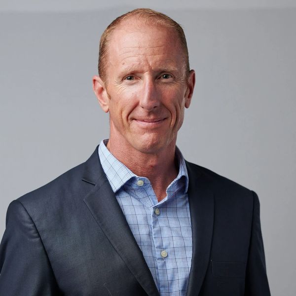 Roots Through The Ferns