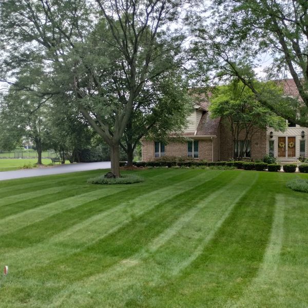 HOME [nickslawncareinc.net]