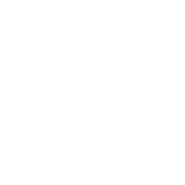 Organic Herbal Tea Australia | Fresh Blends - Golden Wattle Tea