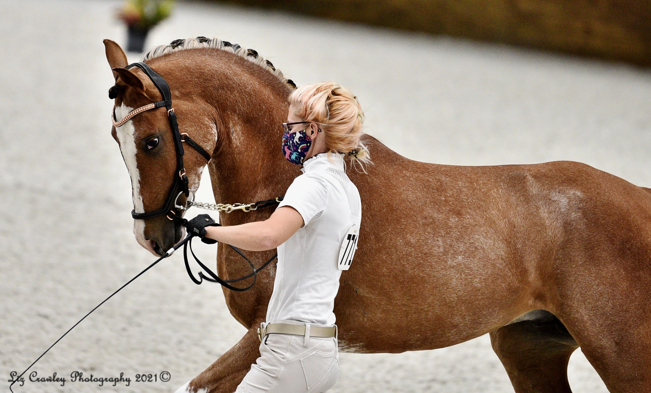 Rose Gold Equestrian