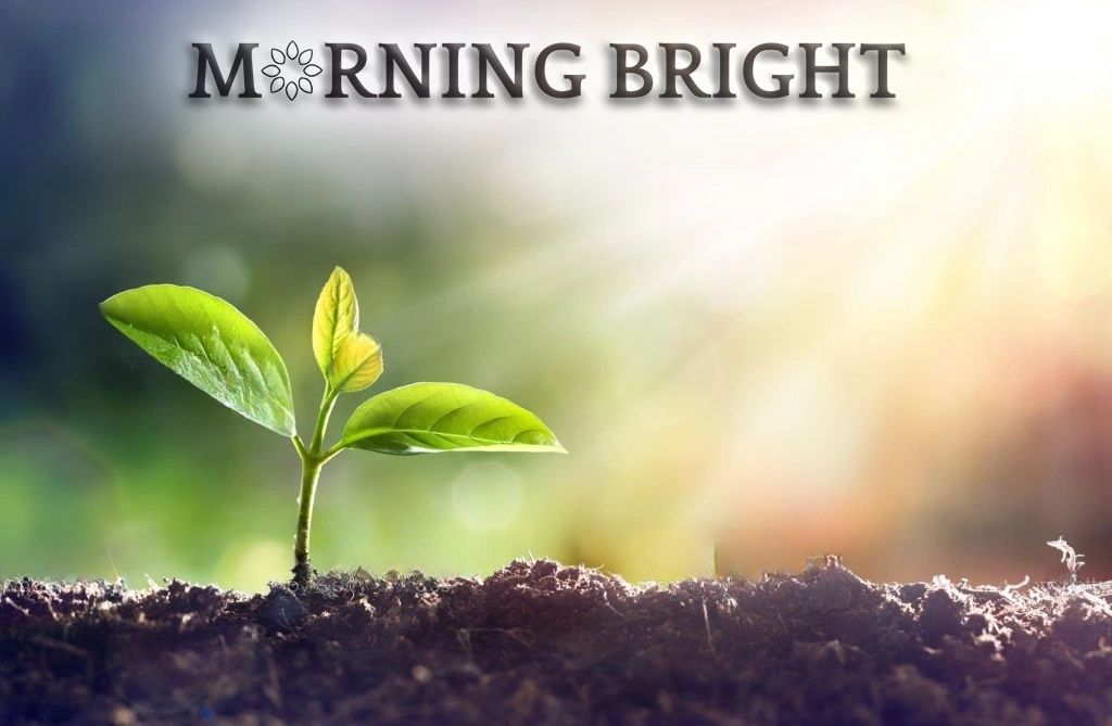 Morning Bright