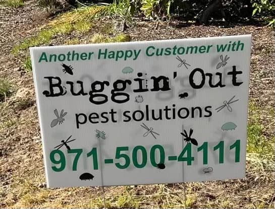 Buggin’ Out pest solutions