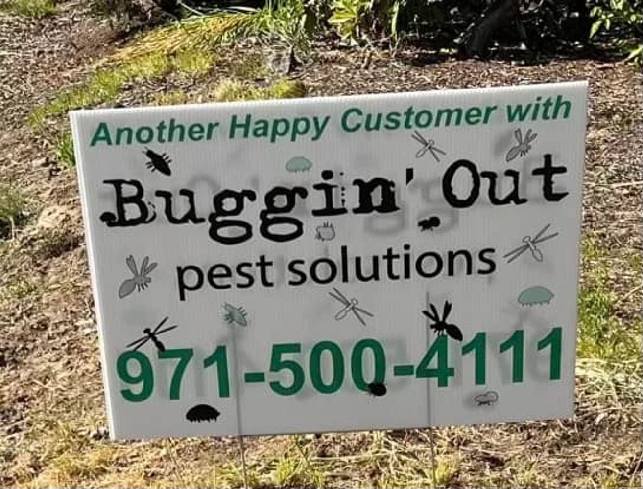 Buggin’ Out pest solutions