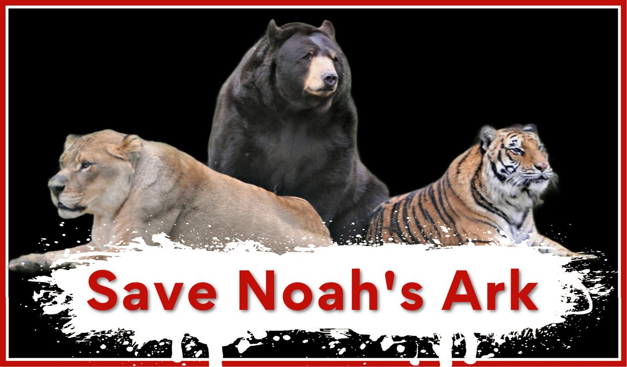 Save Noah's Ark Locust Grove Georgia