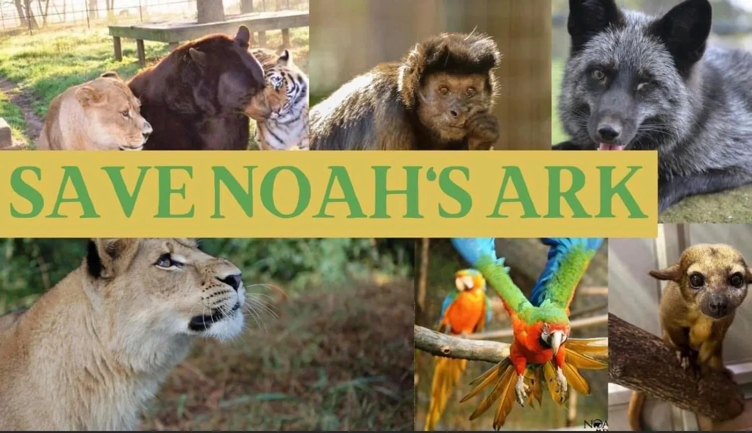 Save Noah's Ark Locust Grove Georgia