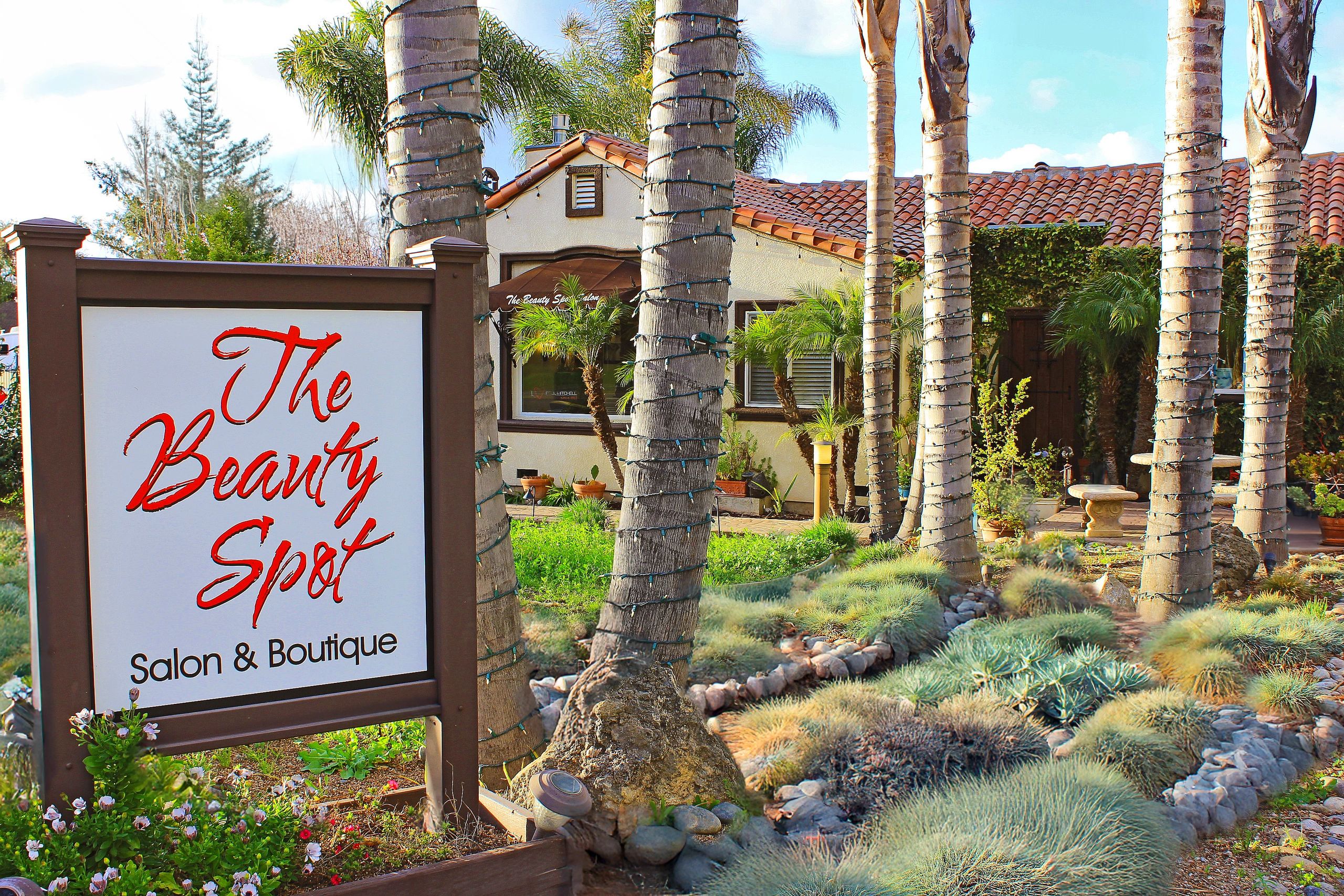 Expert Hair Color Services at The Beauty Spot Salon