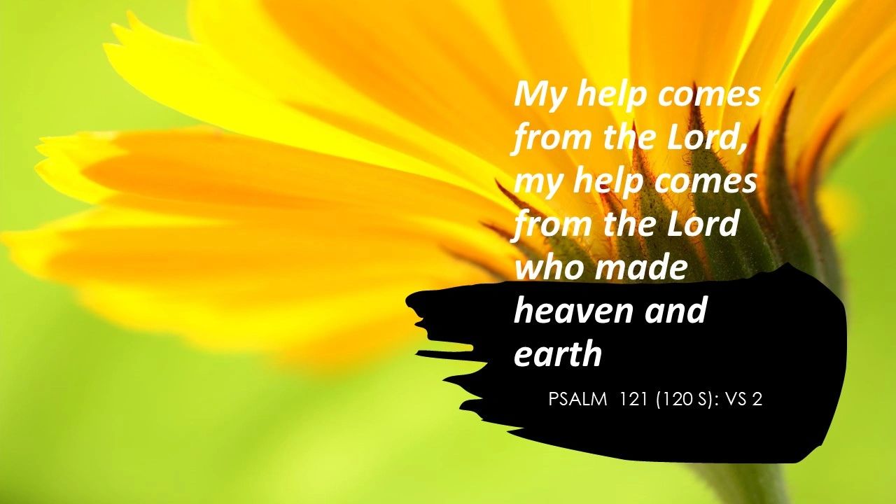 "My Help Comes From the Lord Who Made Heaven and Earth!"