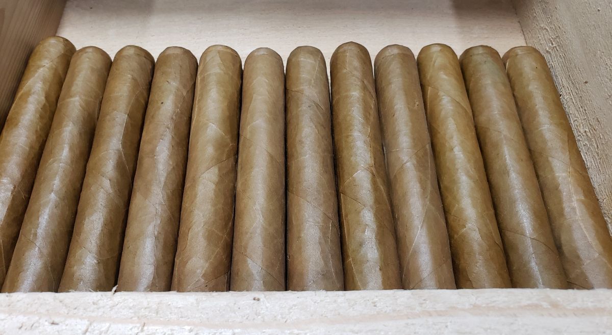 6x60 mild flavor Connecticut wrapper.