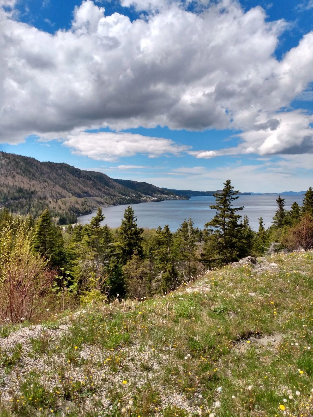 Town of Mount Moriah