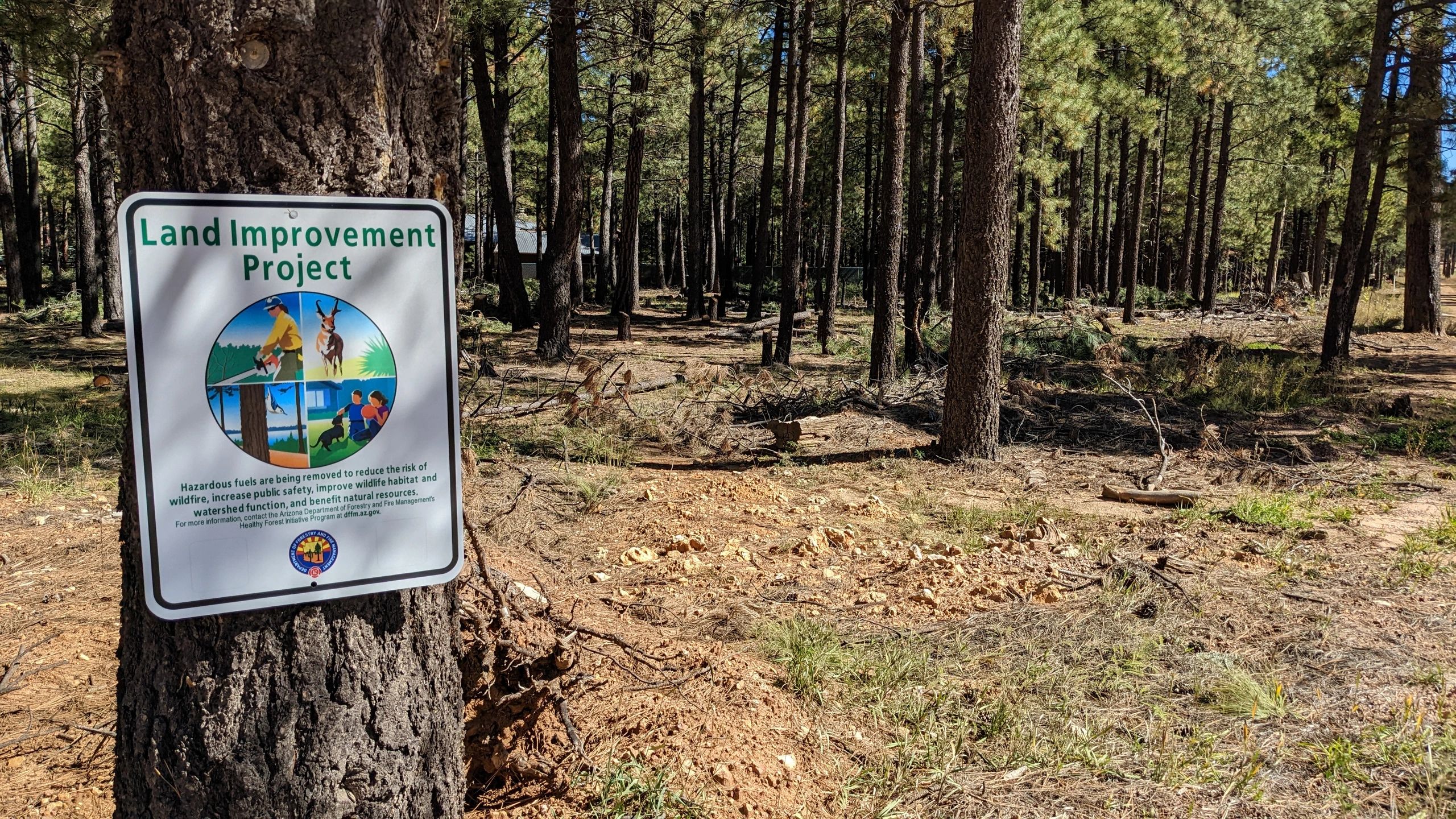 Hazardous Fuels Reduction Grant 2023-2024