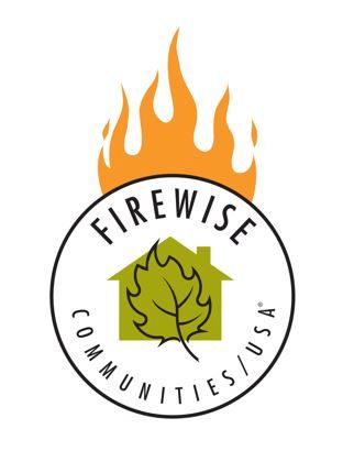 Tree Thinning Opportunity