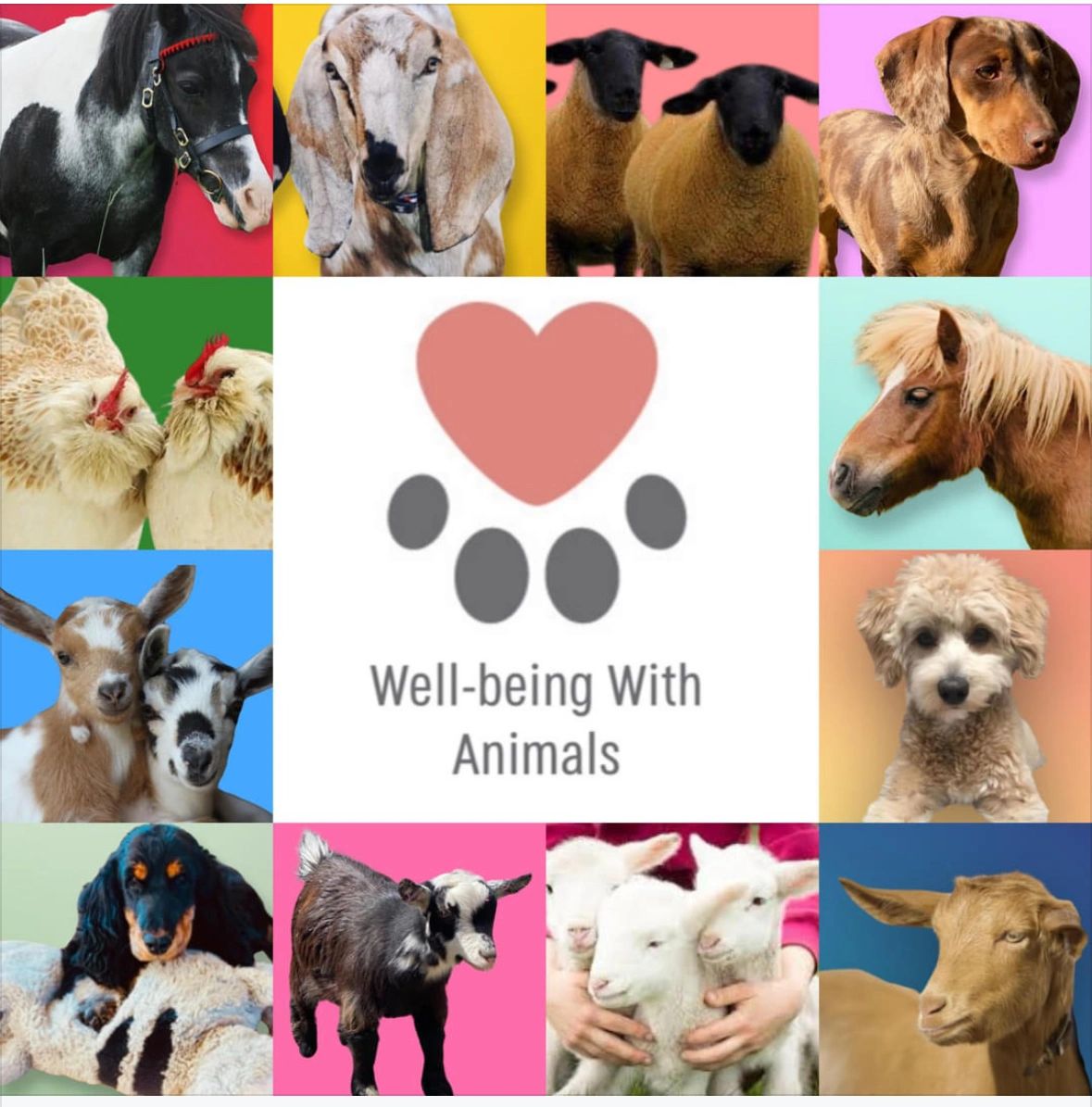 Well-being With Animals animal therapy
