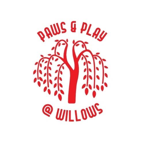 Willows Shake Shop
