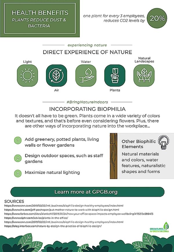 The Emerald City Interior Landscape Services