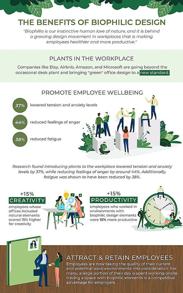 The Emerald City Interior Landscape Services