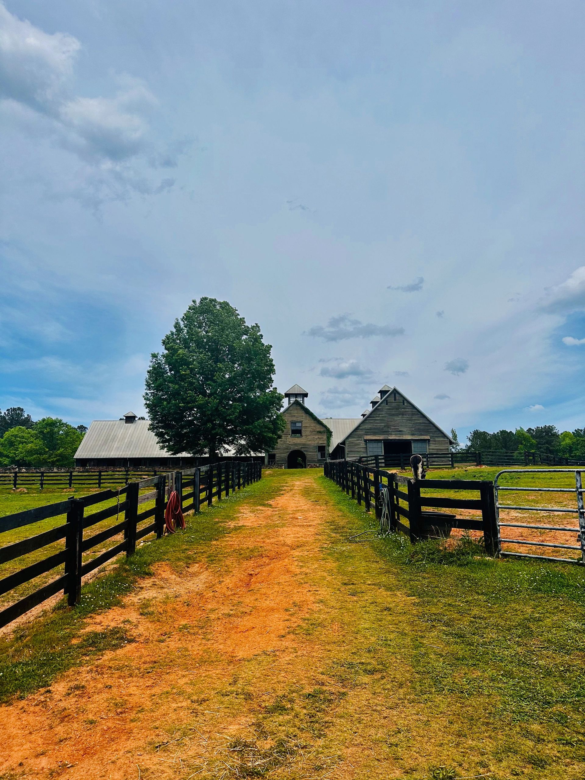 Serenbe Stables
