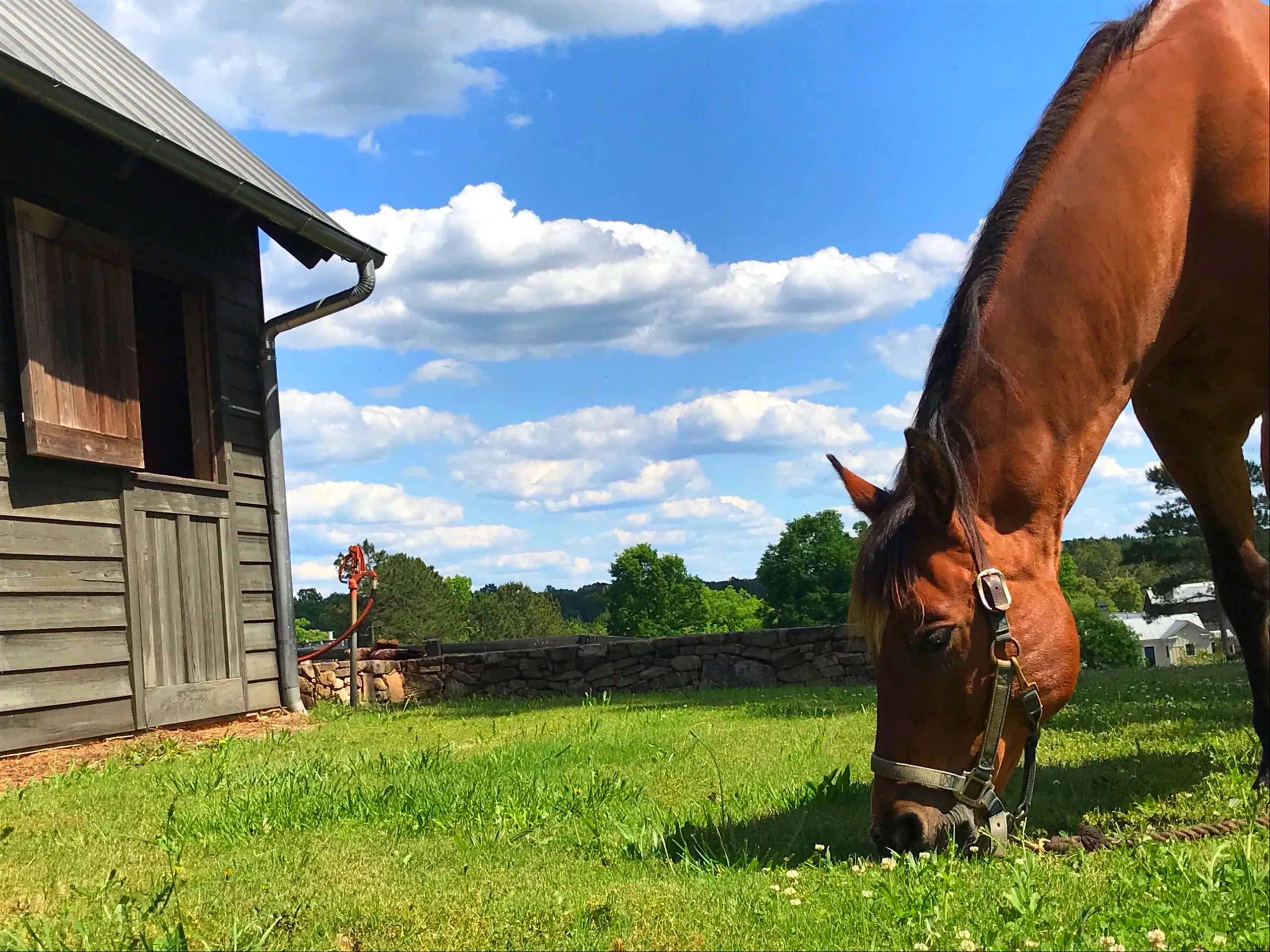 About | Soul Barn at Serenbe