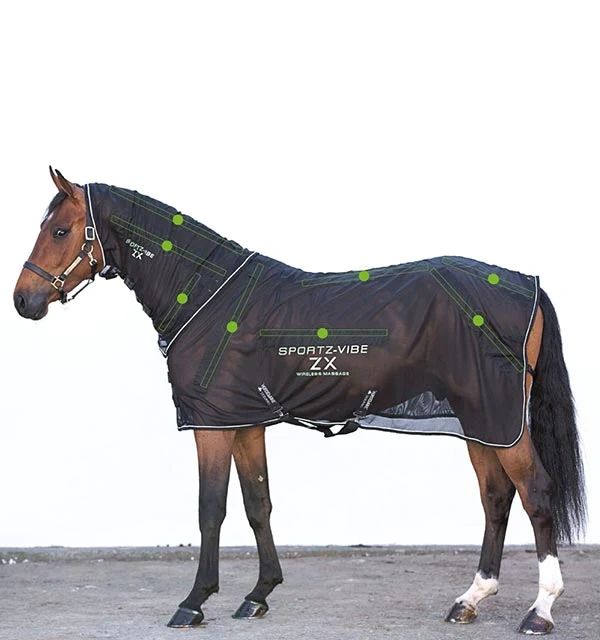 SPORTZ-VIBE MASSAGE RUGS
