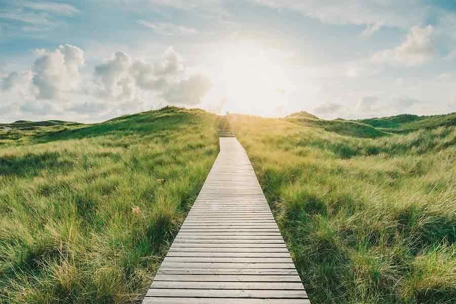 Kogan Counseling Services - Randee Kogan, Therapist, Psychotherapist