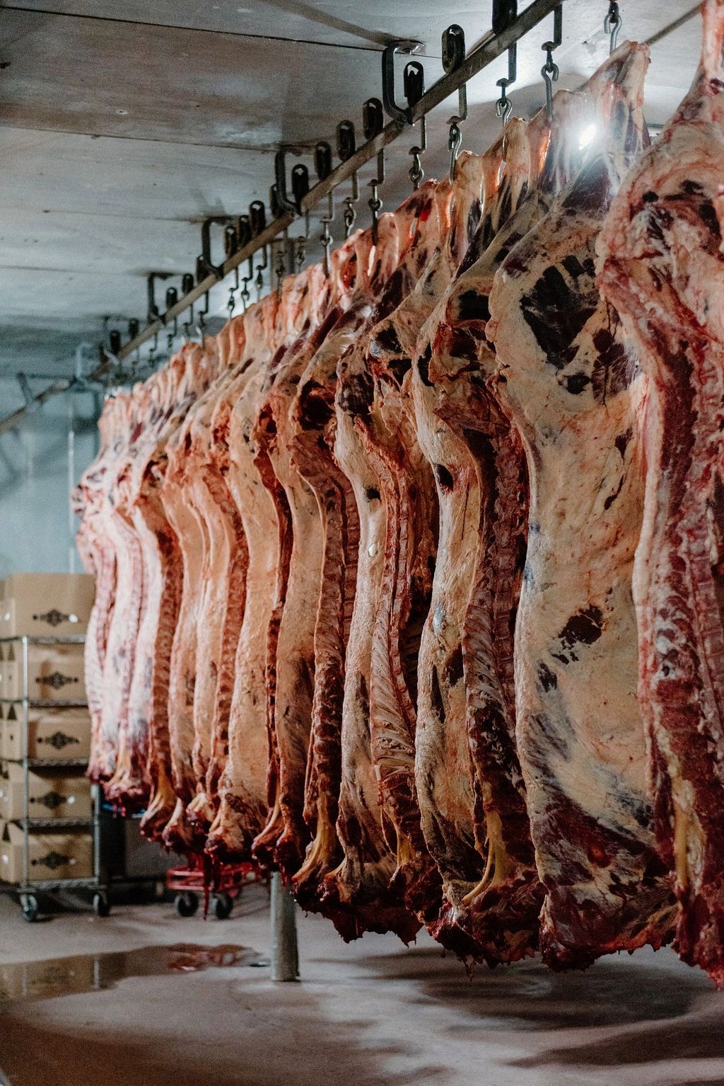 Rafter M Meats