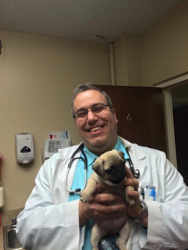 Saw Mill Veterinary Care