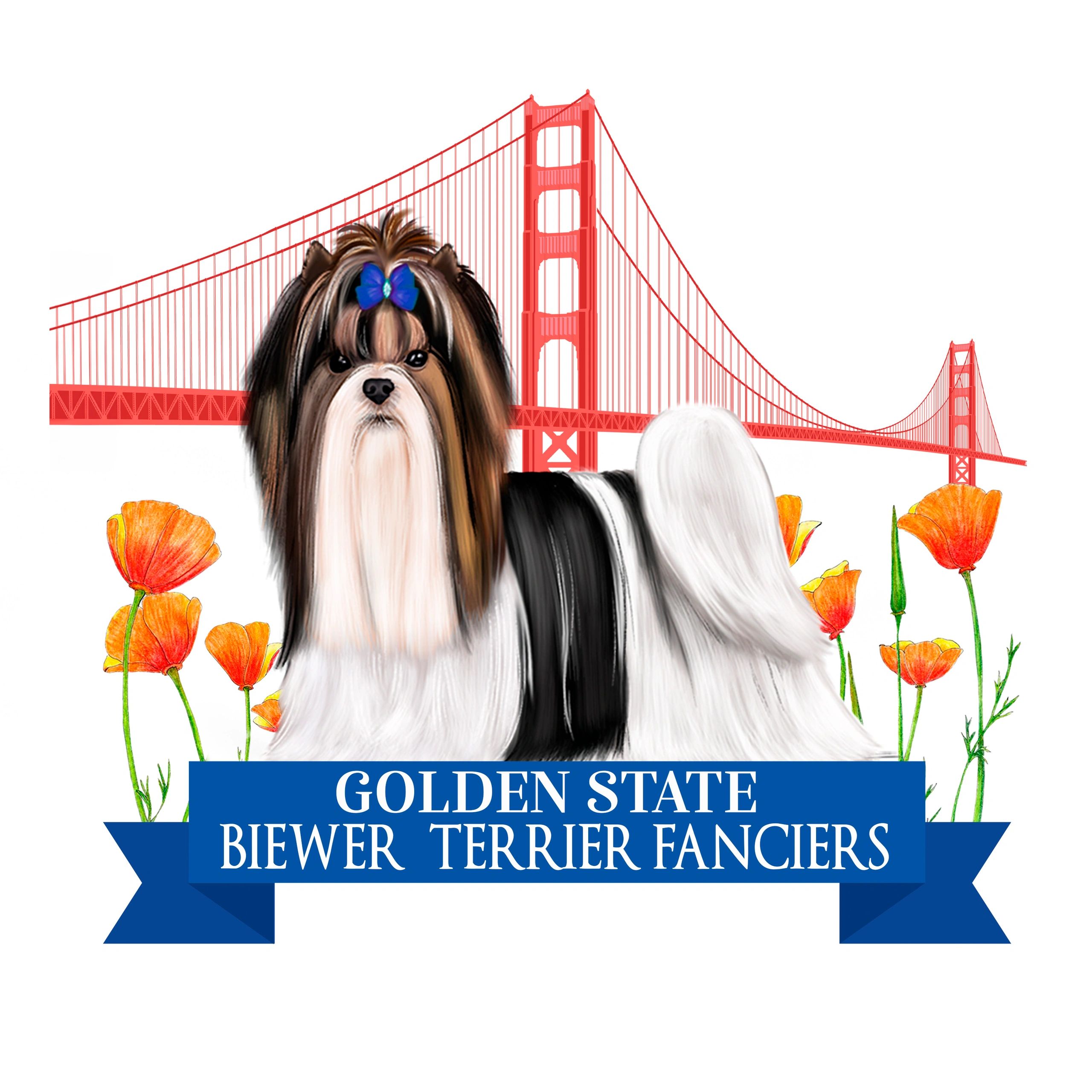 Biewer Terrier Club - Enthusiasts in California