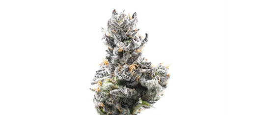 Top 5 Marijuana Strains of All Time