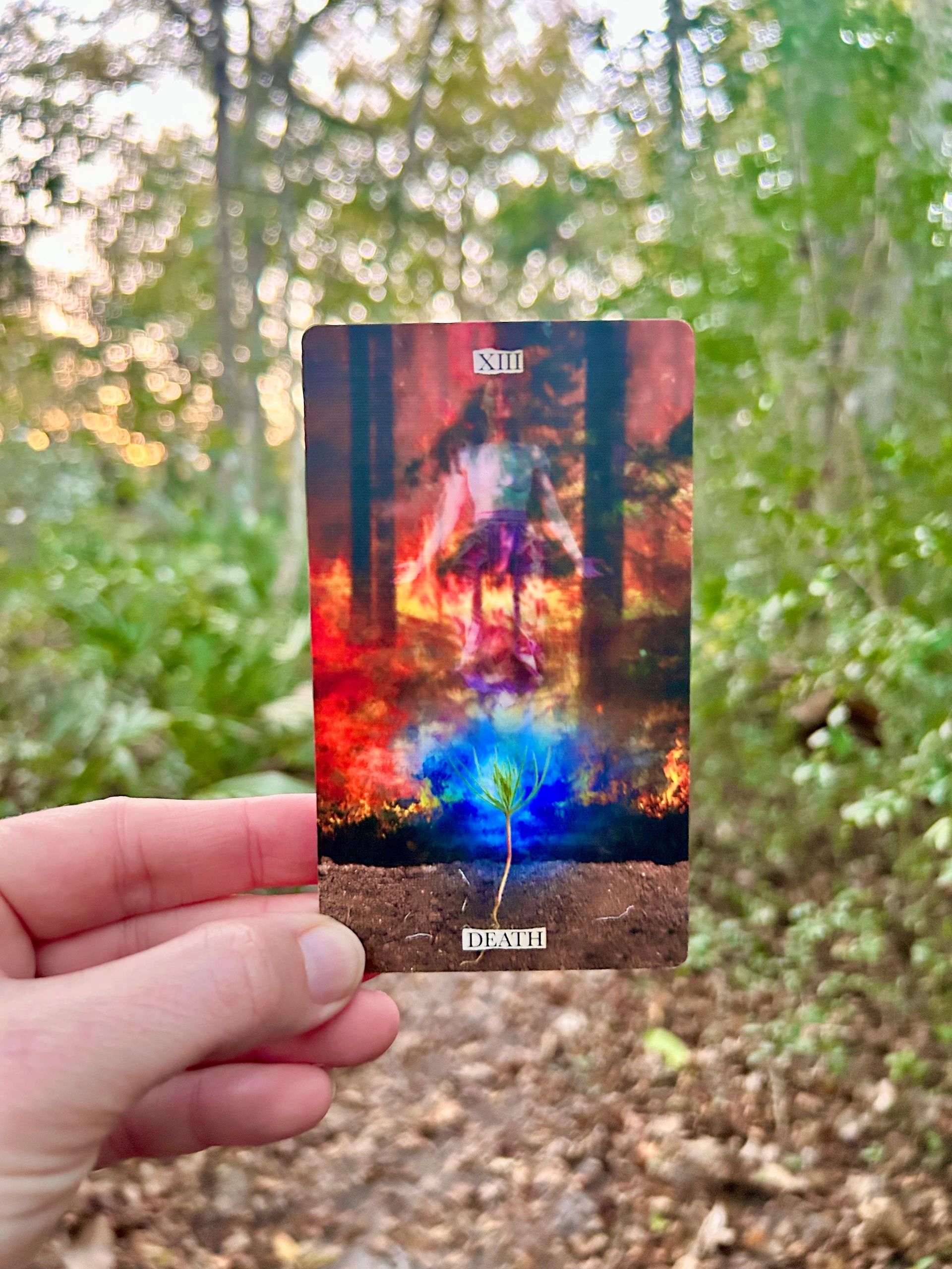 Transformation & The Death Tarot Card