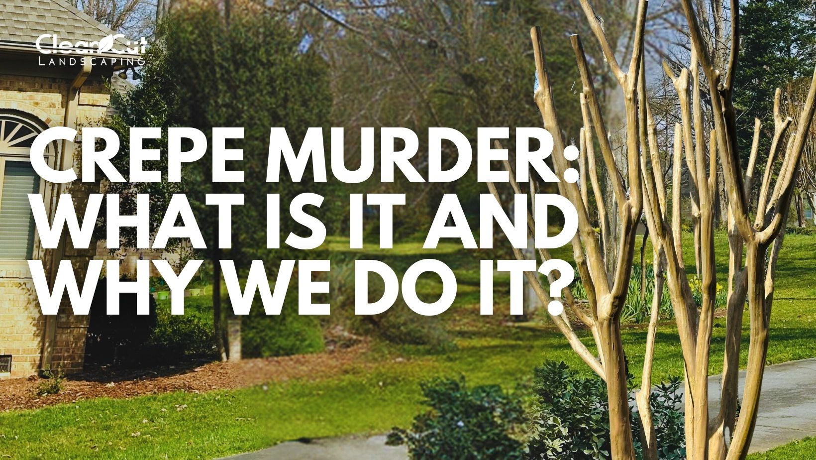 Crepe Murder: What Is It and Why Do We Do It?