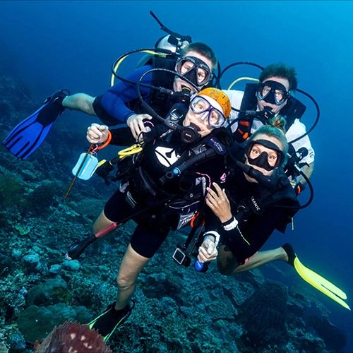 "Family or Groups of Four Special" Scuba Diving Tour - Two Tank Dive