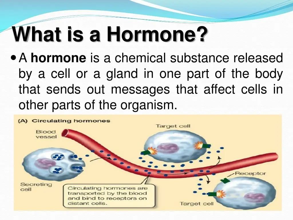 How Hormones Affect Your Skin (At Every Age): The Science Behind