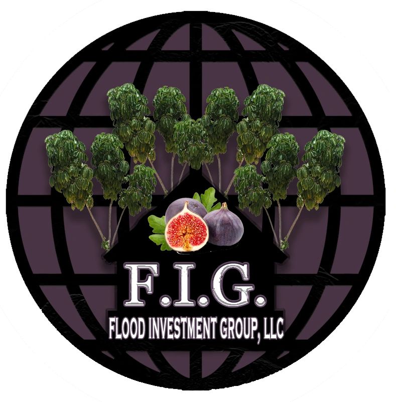Flood Investment Group LLC