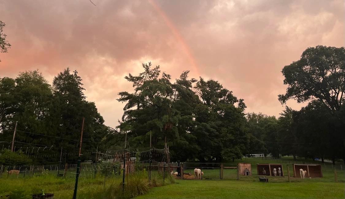 Tikkun Olam Farm, Maryland
